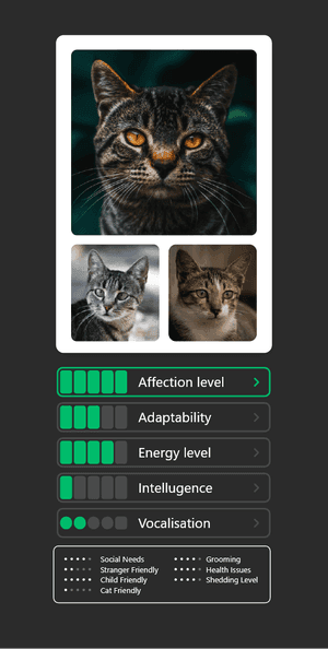 Facundo Chavez | 2025 Portfolio